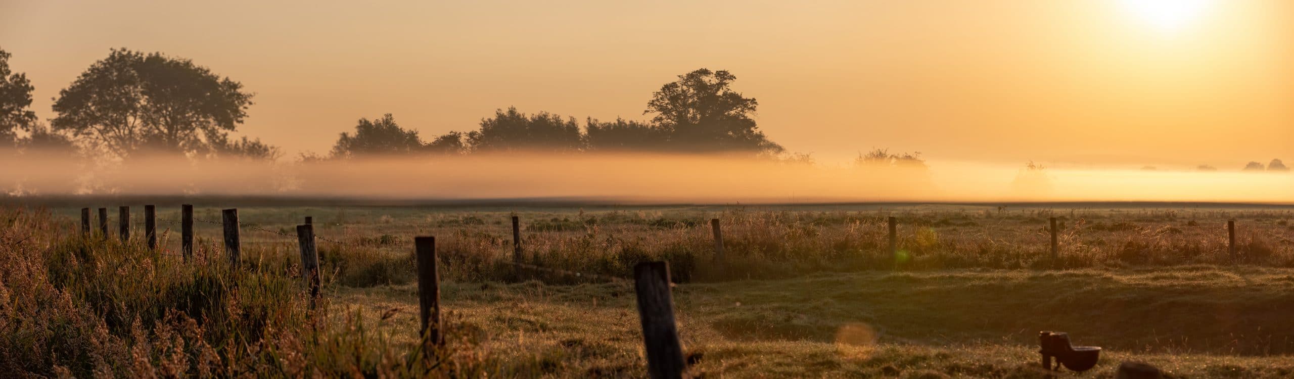 Toerist.info | Dreischor, het groenste dorp van Schouwen-Duiveland